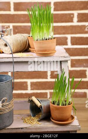 Closeup shot of a brick wall in ancient Rome, Italy. Perfect for ...