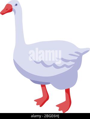 Canada bird icon isometric vector. Nature animal. Robin blue Stock ...