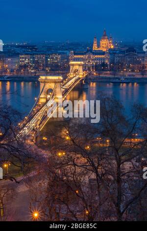 The Széchenyi Chain Bridge at night in Budapest, Hungary Stock Photo ...