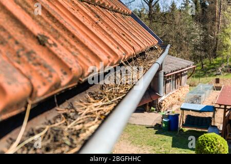 Gutters full of debris needing to be cleaned. Roof gutter clogged with ...