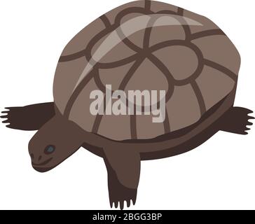 Black turtle icon, isometric style Stock Vector Image & Art - Alamy