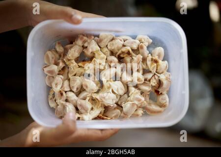 Plastic box with bunch of cacao beands Stock Photo - Alamy