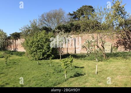 A corner of the Wildlife Friendly Garden in the TWIGS gardens in ...