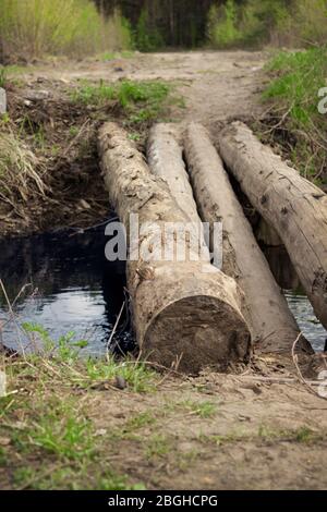 Bridge over a river crossing the thick vegetation, forest and flooded ...