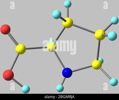 Proline is an alpha-amino acid that is used in the biosynthesis of ...