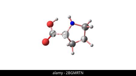 Proline is an alpha-amino acid that is used in the biosynthesis of ...