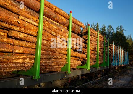 cargo timber train. Open train carriage with a bundle of timber for ...