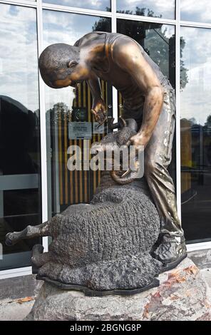 agrodome sheep show,rotorua,new zealand Stock Photo - Alamy