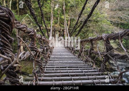 Iya valley and Kazurabashi vine bridge, Tokushima, Shikoku, Japan Stock ...