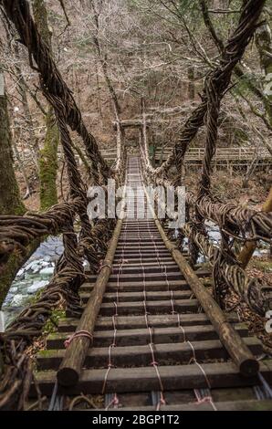 Double Vine Bridge Stock Photo - Alamy