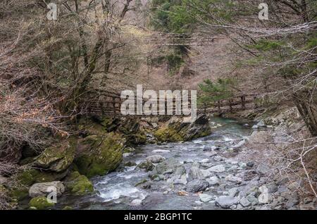 The double vine bridges called Oku-Iya Niju Kazurabashi are a popular ...