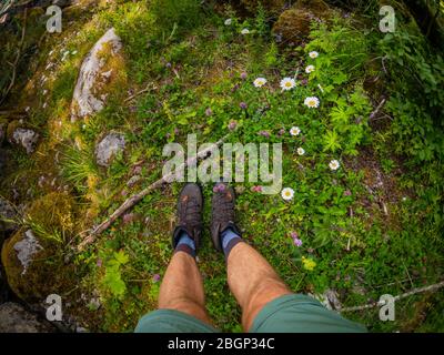 Male hiker leg at wild nature, self portrait Stock Photo - Alamy