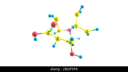 Ecgonine - tropane derivative - is a tropane alkaloid found naturally ...