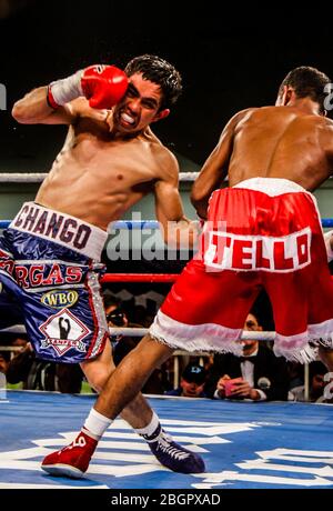 El mexicano Manuel ¨Chango Vargas (short azul) retuvo su titulo de ...