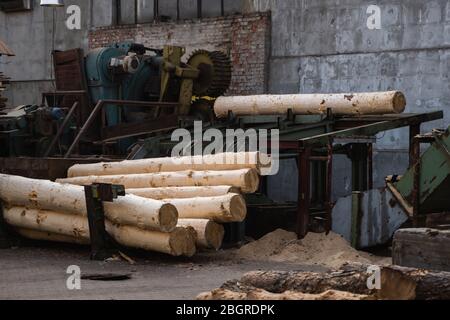 Bark removal from large logs on sawmill. Preparation of the wooden logs ...