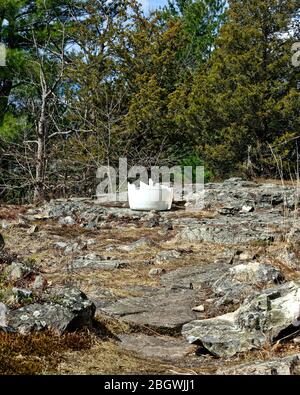 Castle Rock is the highest elevation point in the Breakheart ...