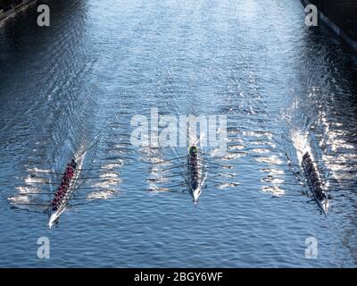 Rowing competition at Montlake Cut in Seattle Washington Stock Photo ...