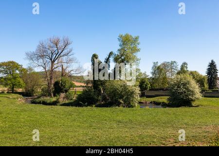 The Netherlands, Maastricht. Jeker river valley. Dawn, sunrise. Winery ...