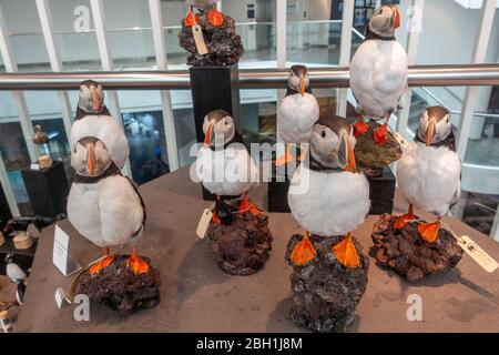 Souvenir Puffins, Reykjavik, Iceland Stock Photo - Alamy