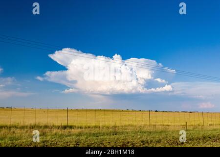 Rural Grassland Farming Area of the Highveld in South Africa Stock ...
