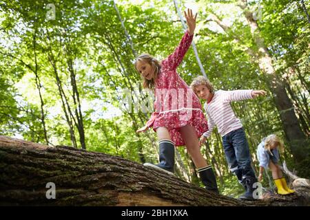 Children balancing on log in forest Stock Photo - Alamy