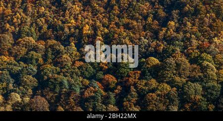 Hebden Dale woodland in Autumn near Hebden Bridge Stock Photo - Alamy