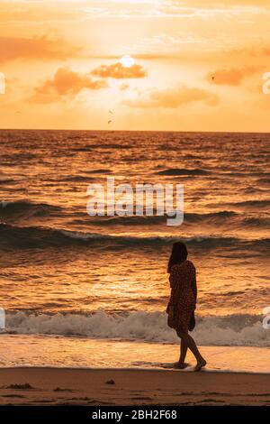 Woman at the seafront at sunrise, Miami, Florida, USA Stock Photo - Alamy