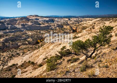 The Hogback slickrock area, view from Highway 12 over Calf Creek canyon ...