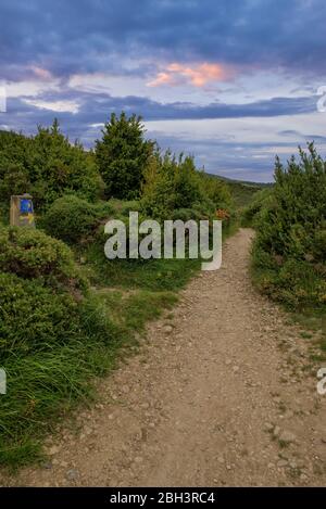 Pilgrims hiking through La Rioja vineyards while walking the Camino de ...
