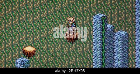 Landstalker The Treasures of King Nole - Sega Genesis Mega Drive ...