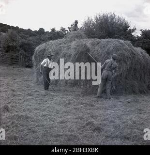 1930s, historical, outside in a recently mowed corn field on a farm, an ...