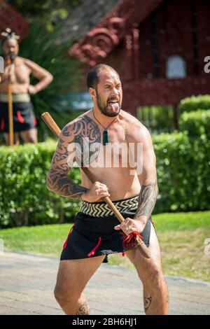 Maori Haka Ritual Dance Rotorua New Zealand Stock Photo - Alamy