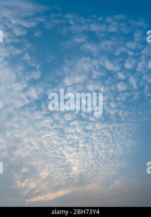 Conceptual caption Creative Design, Business idea subset of visual ...