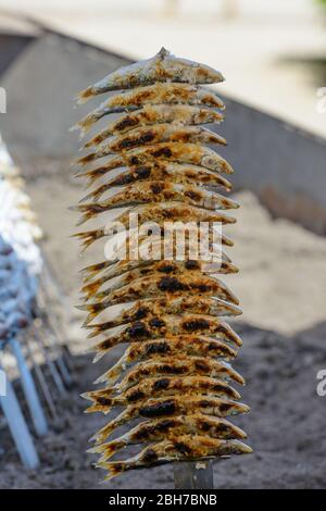 Freshly caught sea fish grilled over fireplace on a sunny day, closeup ...
