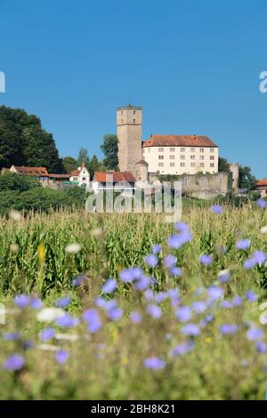The Guttenberg Castle in the Neckar Valley, Baden-Württemberg, Germany ...