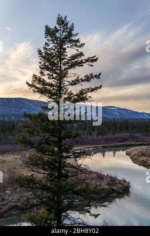 sunset on fairmont creek in canadian rocky mountains spring Regional ...