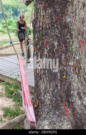 Tree used to kill children in the Tuol Sleng Genocide Museum, former ...