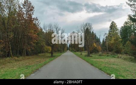 Long straight road through the forest, Lombok, Indonesia Stock Photo ...