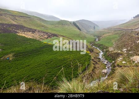 Vía Flores, old road from Ambato to Guaranda, next to the Ambato river ...