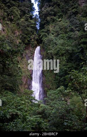 Caribbean, Dominica. Trafalgar Falls in the rainforest Stock Photo - Alamy