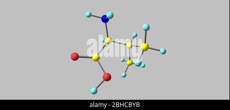 Valine or Val an amino acid that is used in the biosynthesis of ...