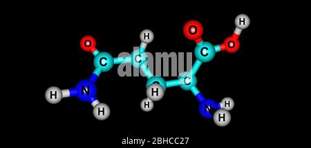 Glutamine or Gln is an amino acid that is used in the biosynthesis of ...