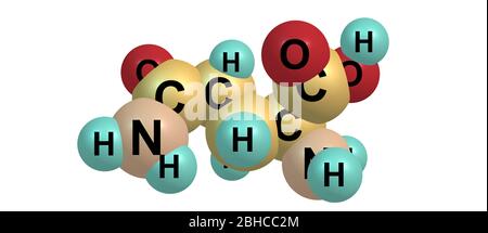 Glutamine or Gln is an amino acid that is used in the biosynthesis of ...