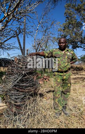 Anti-poaching ranger, South Africa. A member of the Protrack anti ...