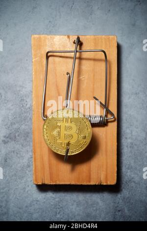 Bitcoin on a mouse trap Stock Photo - Alamy