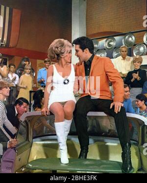 Nancy Sinatra,"Speedway" 1968 MGM File Reference # 33300 202THA Stock ...