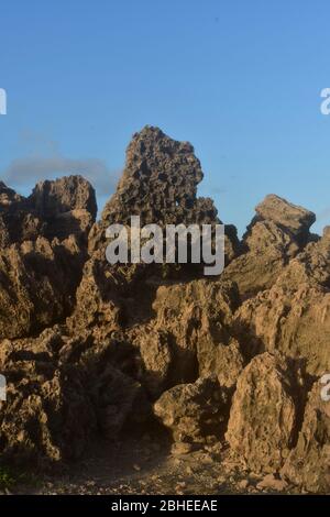 Large porous volcanic lava rock in Aruba Stock Photo - Alamy