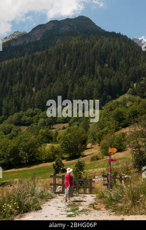 Switzerland, Valais, Wallis, Lötschental, Ferden, chalet, chalets ...
