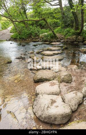 Stepping stones carry a footpath over the River Meavy near the village ...
