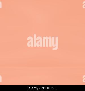 Photographic Pink Gradient Seamless studio backdrop Background Stock ...
